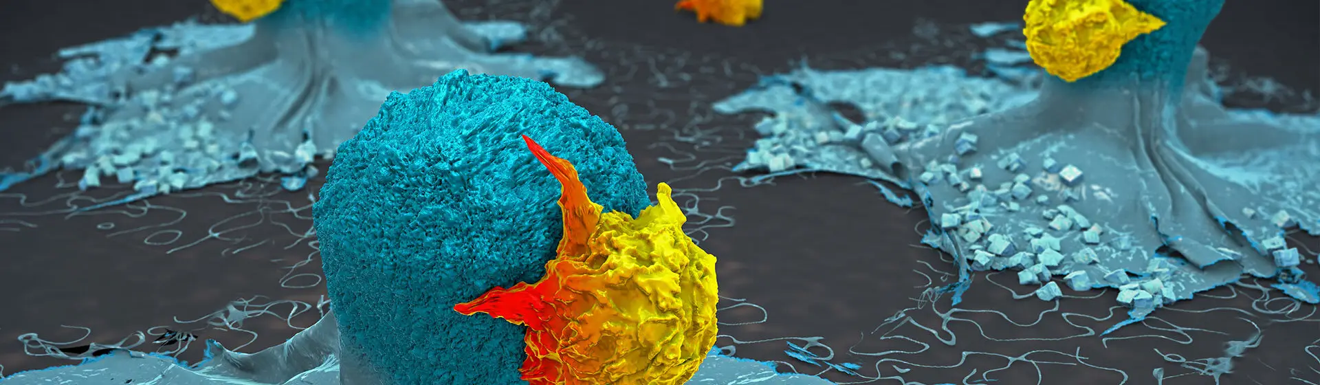 Database of Immune Cell Epigenomics – lji.org