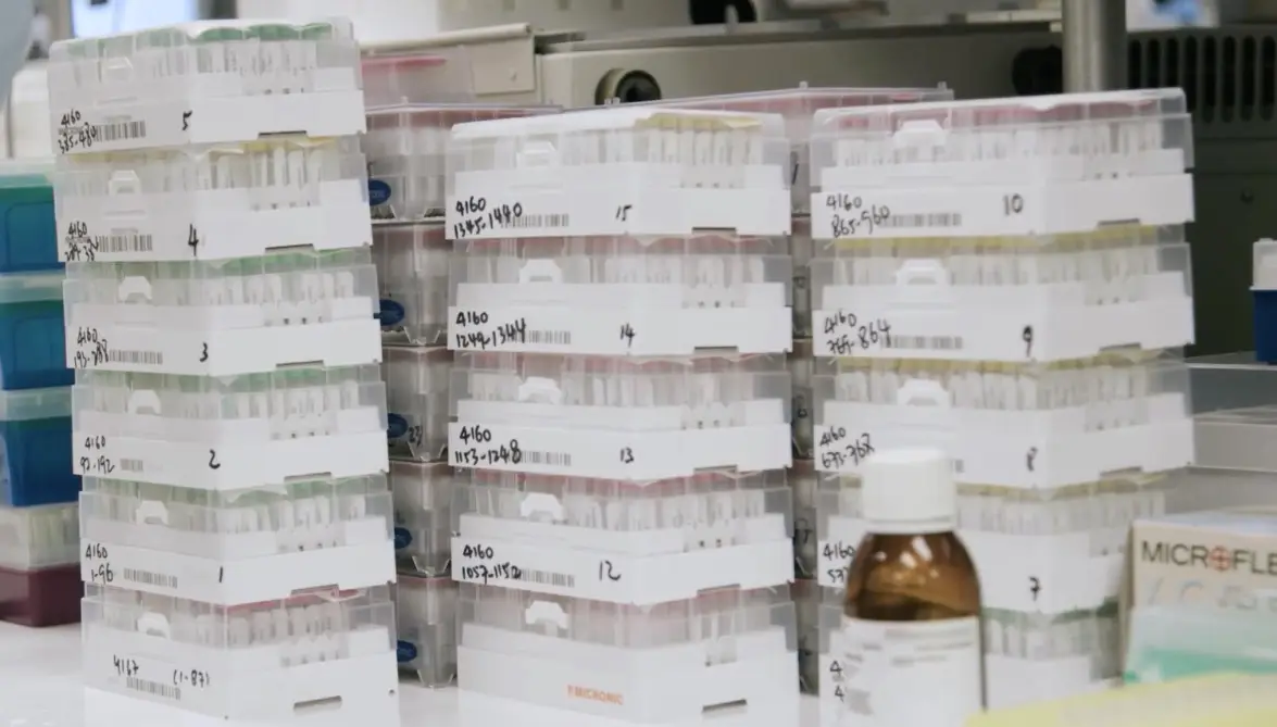 Sette Lab – lji.org