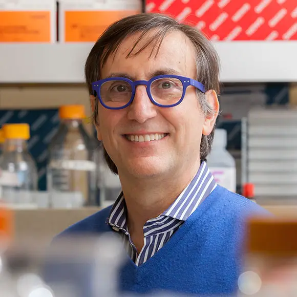 Sette Lab – lji.org