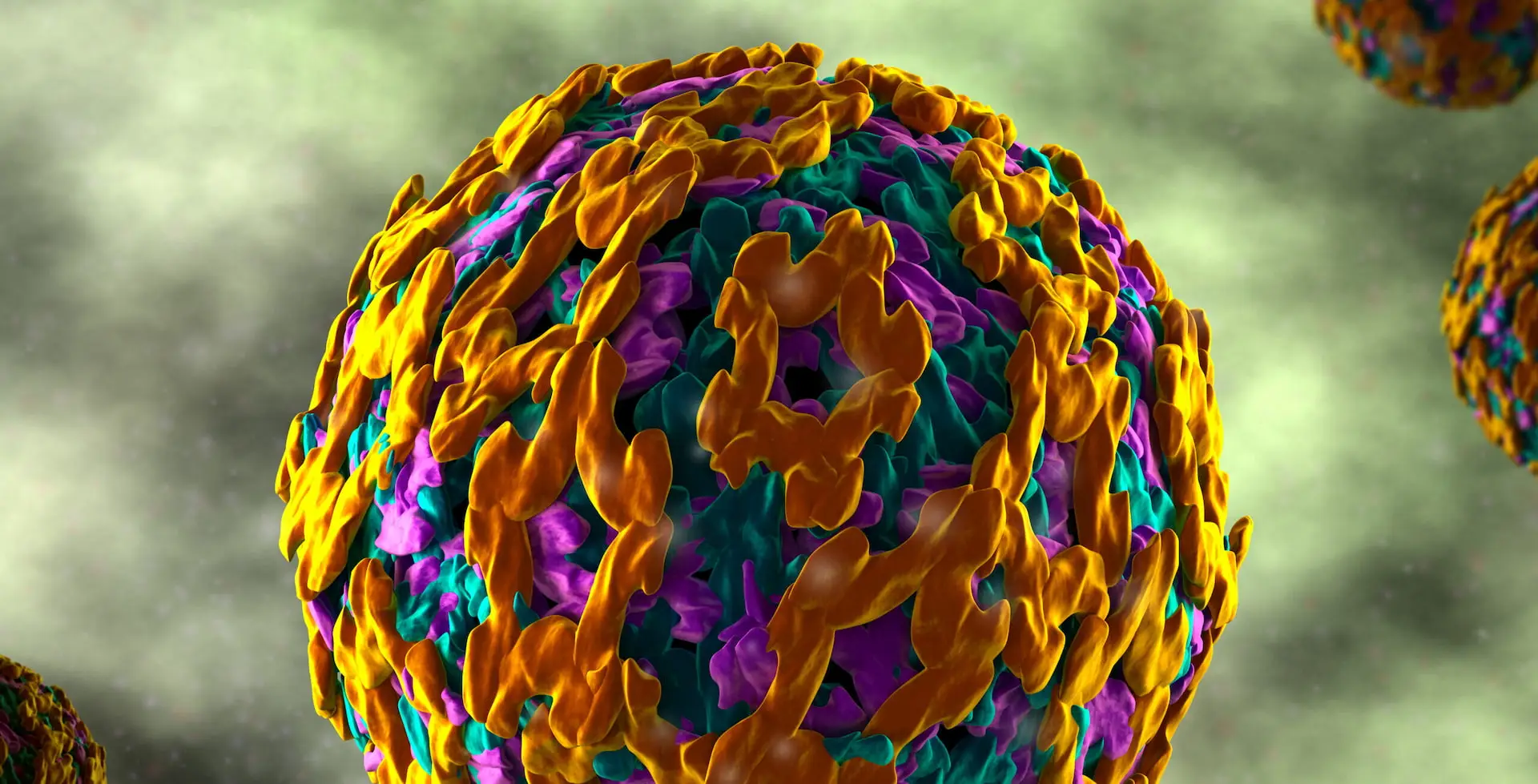 Yellow Fever – lji.org