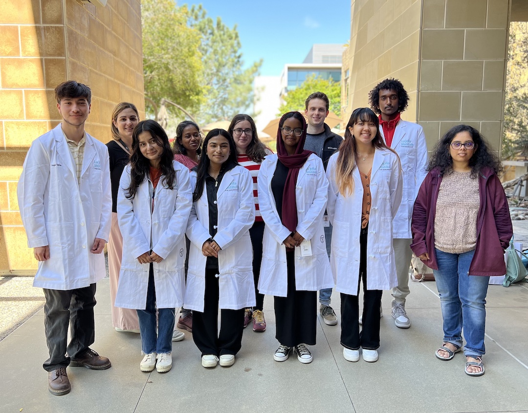 How LJI volunteers built a valuable internship program – lji.org