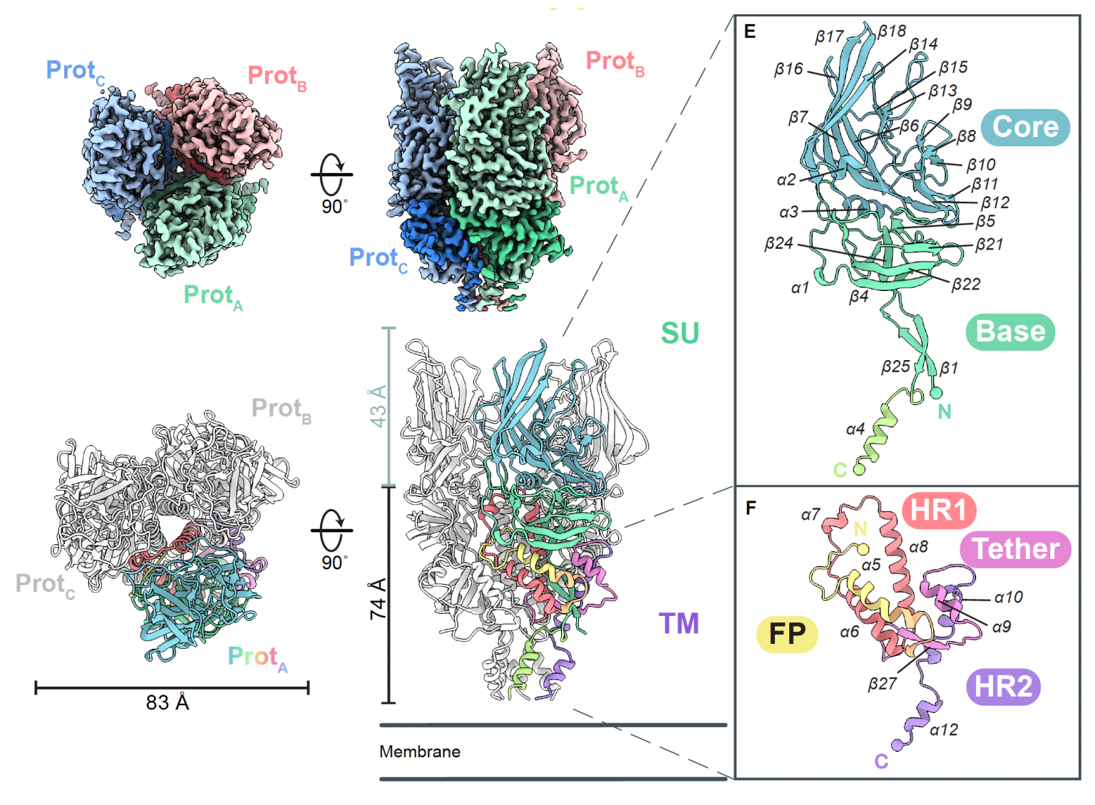 A stunning first look at the viruses inside us – lji.org